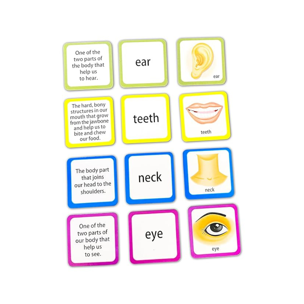 Creative's Language Learning Centre-body Parts | Knowledge About Human ...