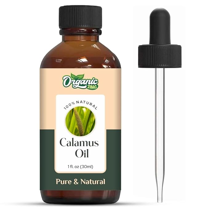 Organic Zing Calamus (Acorus Calamus) Oil | Essential Oil for Skincare ...