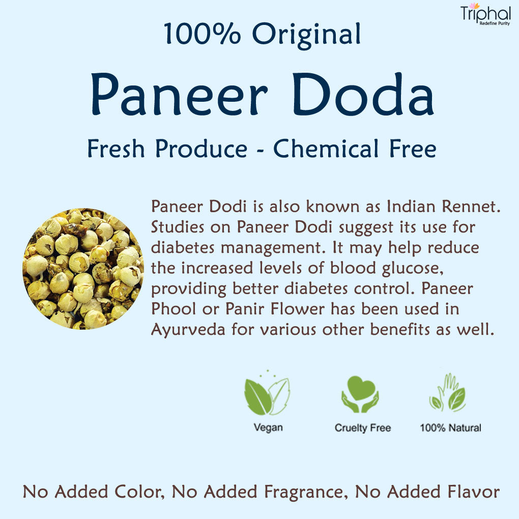 Triphal Paneer Doda - Panir Phool - Paner Dodi - DesiPick