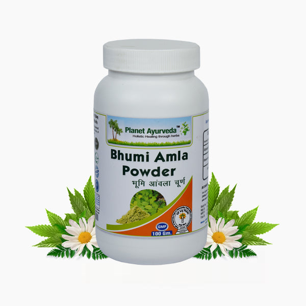 Planet Ayurveda Bhumi Amla Powder - 100 gms - DesiPick